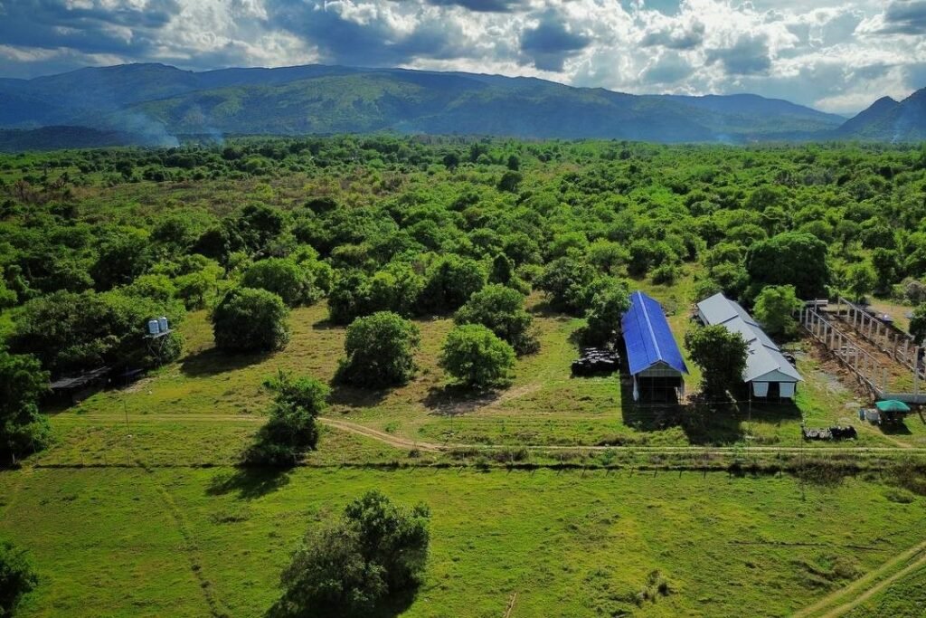 From Our Farms – Daddy's Best Nature Farm